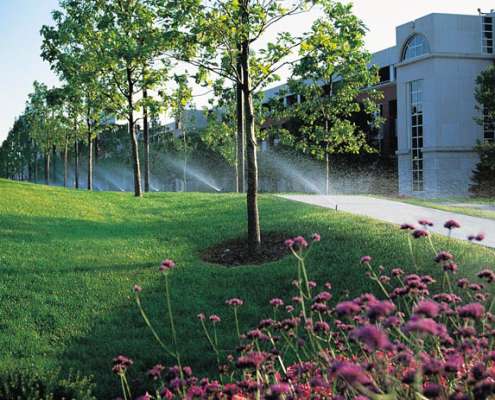 Gallery - Rainmaker Irrigation